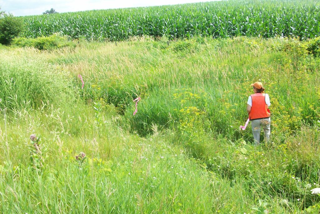 Ecological Consulting - Metro Consulting Associates